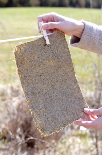 How to Make Paper From Plants – Mother Earth News